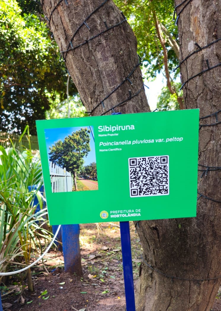 Identificação de árvores com QR Code chega ao Parque Dorothy ...